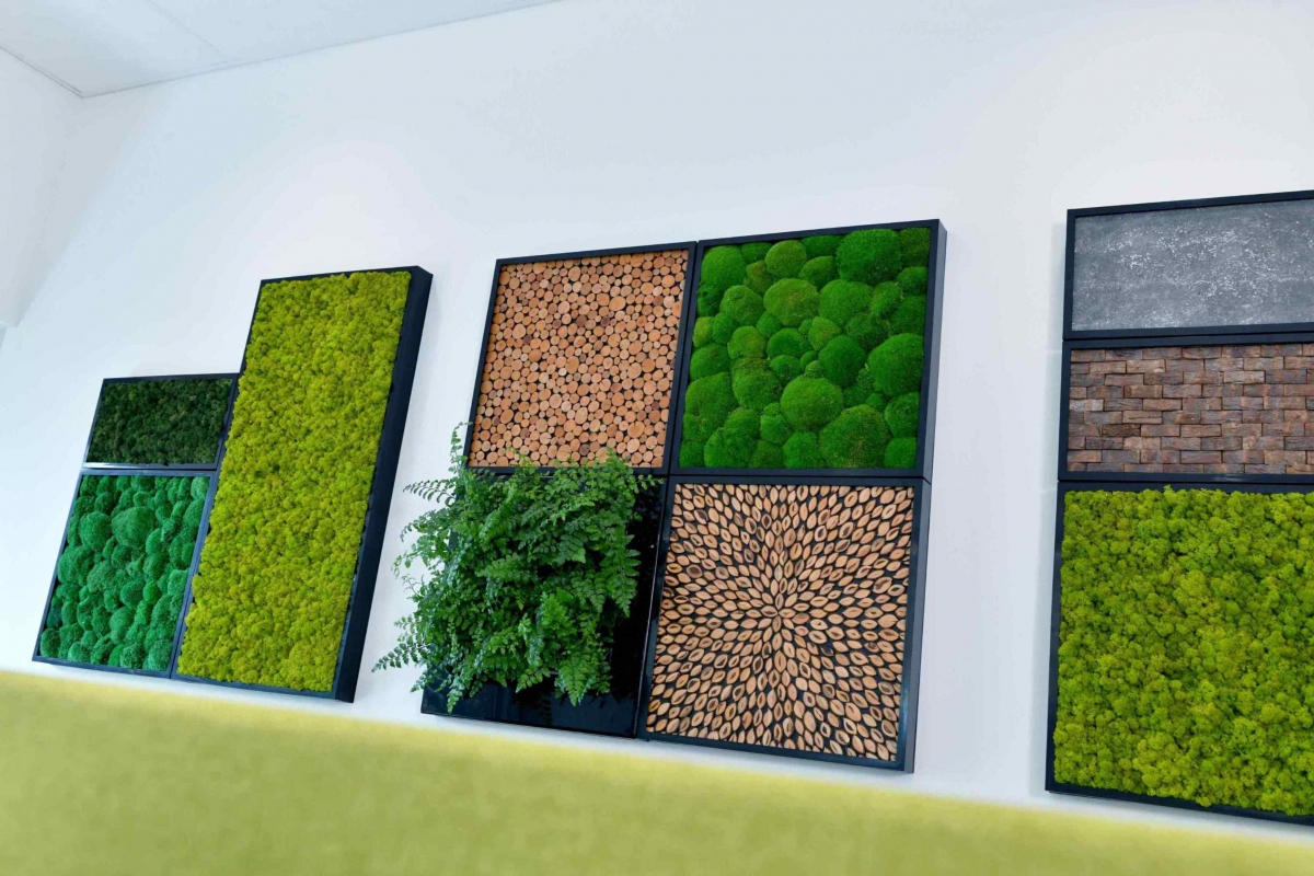 Bio Montage, Live Pictures - Tinnefeld Service Grün